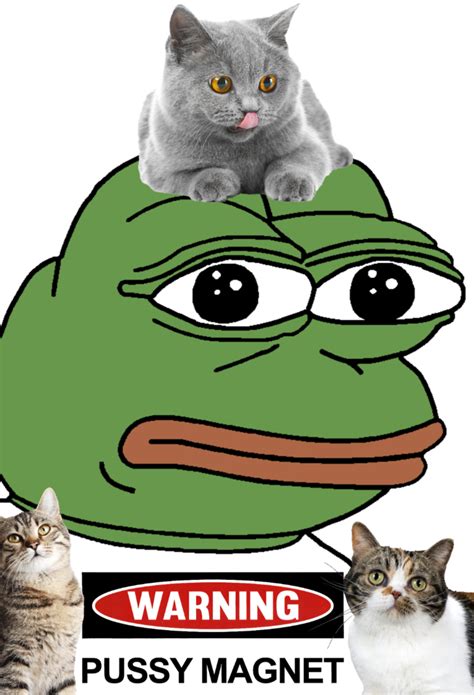 Pepe Cat Magnet Pepe The Frog Know Your Meme