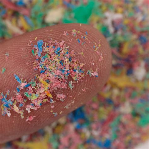 About Thriving Sustainably Thriving Sustainably