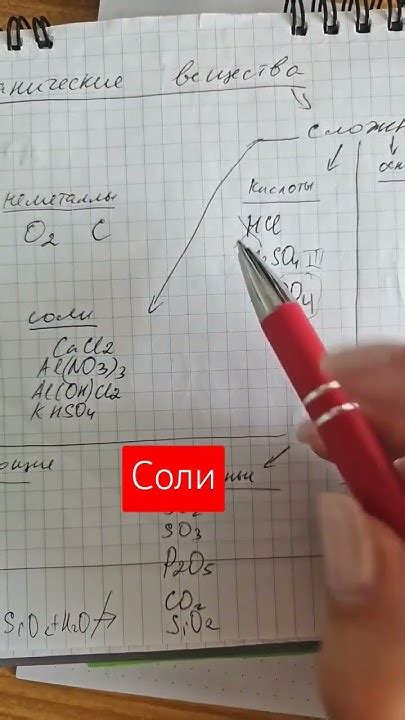 Соли химия Youtube
