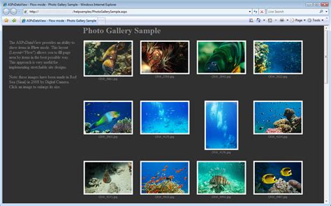 Flow Layout In ASP NET DataView Upcoming Feature