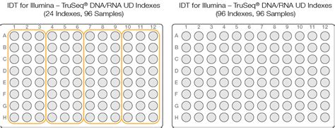 Idt For Illumina Truseq Udi Plate Layouts