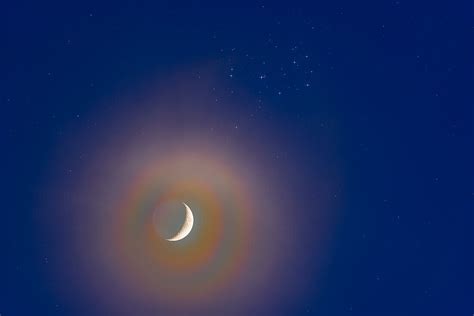 The Conjunction Of The Waxing 4 Day Old License Image 13998604