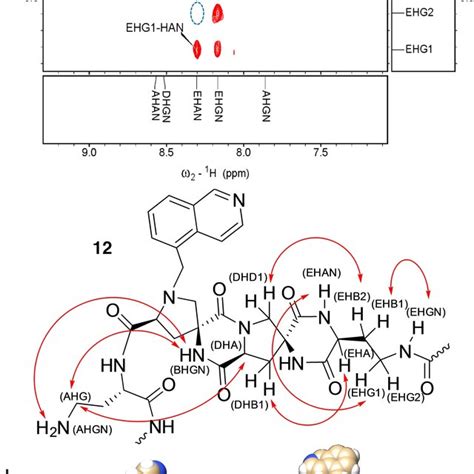 scheme 2 synthesis of spiroligomer based macrocycles download