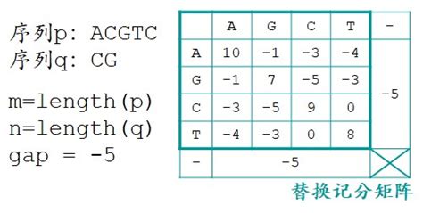 生物信息学入门——“山东大学生物信息学”学习笔记3序列比较 genetic code matrix csdn博客