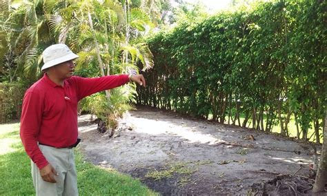 Pin By Designxtudio On Grasshoppers Landscape Design Landscape