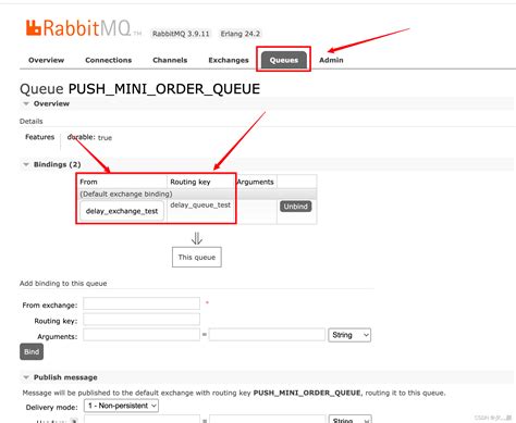 Rabbitmq使用插件实现延迟消息，常见问题解决方案rabbitmq延迟插件没有延迟 Csdn博客