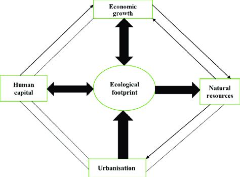 Causality Relationship Schema Download Scientific Diagram