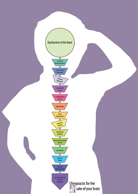 Dont Be Fooled Vertebral Misalignment Is A Component Of Every