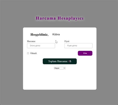 Kübra Aygün Linkedin‘de Html Css Ve Javascript Kullanarak Hazırladığım Bu Proje Kullanıcıların
