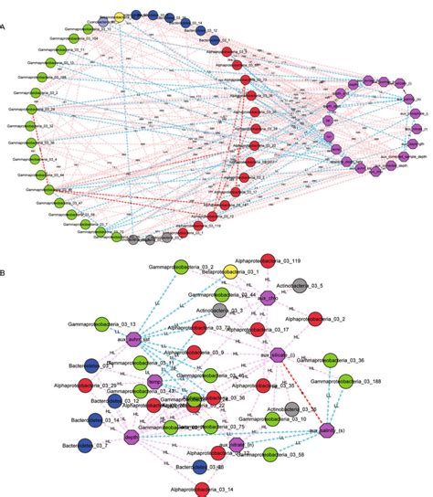Results Of Pairwise Boolean Implication Network Nodes Are Either Otus