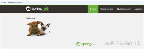 入门opentelemetry——应用自动埋点 知乎