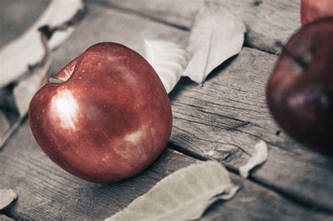 苹果 水果 树叶 Pixabay上的免费照片 Pixabay
