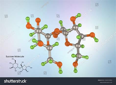 Sucrose Molecule