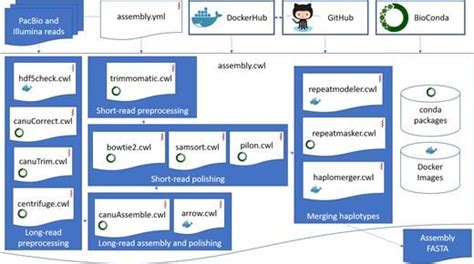 Common Workflow Language Cwl Based Software Pipeline For De Novo