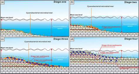 Depositional Process Of Oncolitic Oolitic Limestone During The Forced Download Scientific