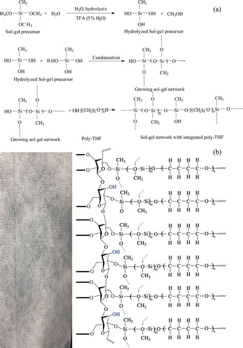 Schematic Diagram Of A Sol Gel Pthf And B Sol Gel Pthf Coated Fpse