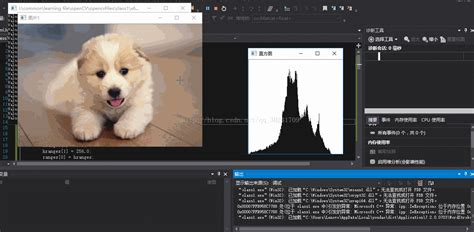 opencv 用直方图统计像素 统计背景像素点的概率分布cv csdn博客