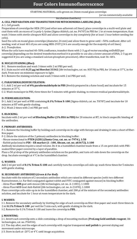 Four Colors Immunofluorescence Protocol Cells Can Be Grown Directly On Download Scientific