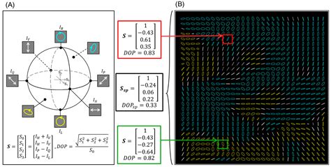 Snapshot Imaging Of Stokes Vector Polarization Speckle In Turbid