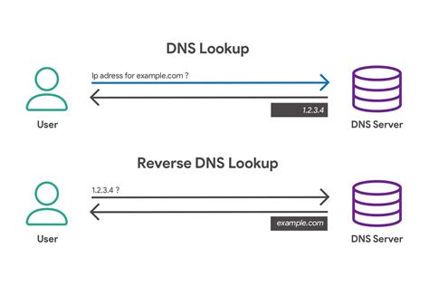 Reverse Dns Lookup Chiave Per La Deliverability Email