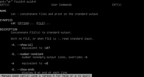 How To Use The Linux Cat Command With Examples
