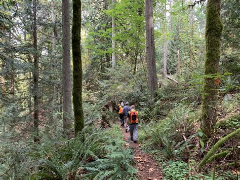 Evans Creek Preserve Trail Improvement Project City Of Sammamish