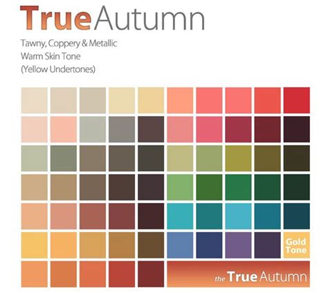트루 가을웜 팔레트와 대표 연예인 모음 색상 팔레트 사계절 색깔
