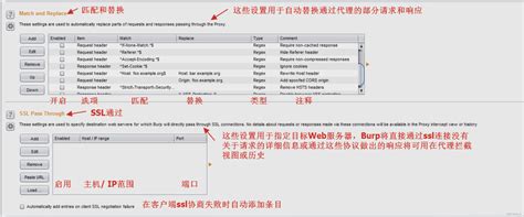 Burpsuite十大模块详细功能介绍 Burp Suite各模块的作用 Csdn博客