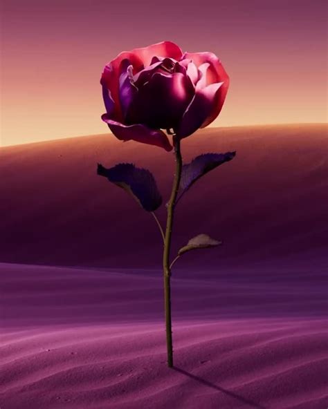 Create Dynamic Flower Animation 3d Plant Animation 3d Cgi Animation By Danielskill Fiverr