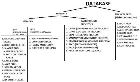 İlker usta dba notları oracle database mimarisi oracle database