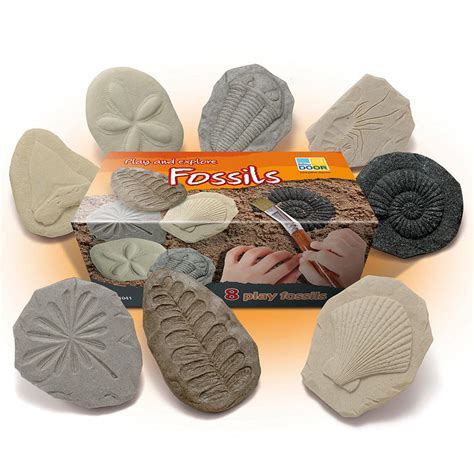 Yellow Door® Lets Investigate Fossils Discovery Kit