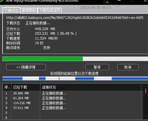 IDM使用方法_idm的ua怎么配置-CSDN博客