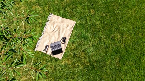 공원 푸른 잔디에 노트북 컴퓨터와 헤드폰 작업 및 온라인 야외 공부 사무실 개념 밖에서 작업 위에서 공중 무인 항공기보기 0명에 대한 스톡 사진 및 기타 이미지 Istock