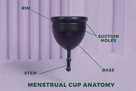How To Use A Menstrual Cup Period Nirvana