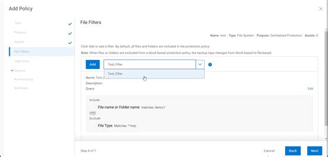 Inclusion And Exclusion Filters For File System Data Protection Dell