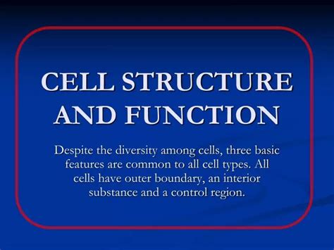 Ppt Cell Structure And Function Powerpoint Presentation Free