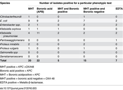 Bacterial Isolates Positive For A Particular Phenotypic Test Download Table