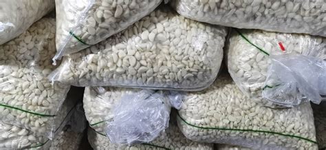 蒜米料是什么样的蒜？揭秘优质蒜米的原料选择与加工标准 一亩田