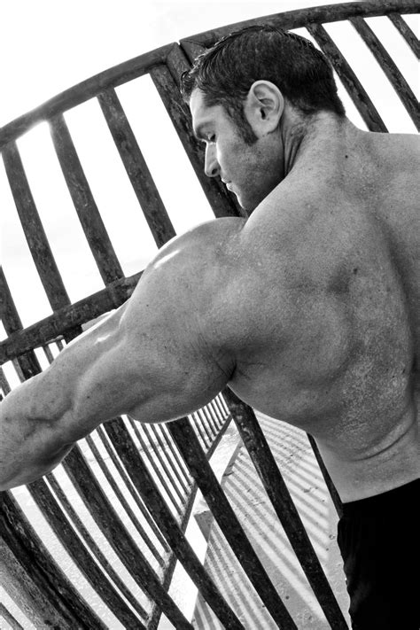 Muscle Lover The World Of Bodybuilders David Hoffmann