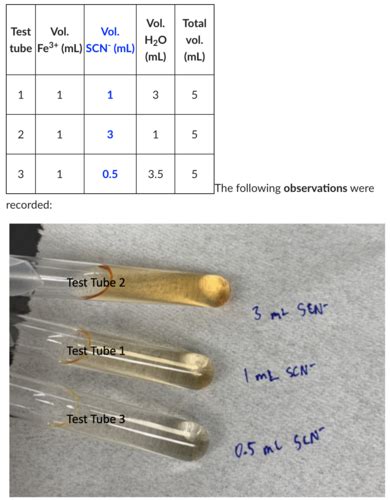 Experiment 3 Lab Report Flashcards Quizlet