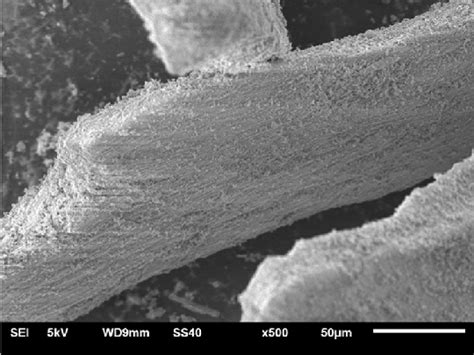 Sem Result In Hemp Fibers Download Scientific Diagram