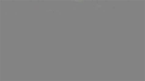 Pute Algerienne Poilue