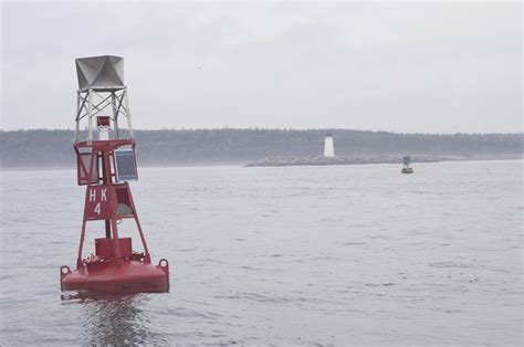 How To Tell If An Object Will Sink Or Float Sciencing