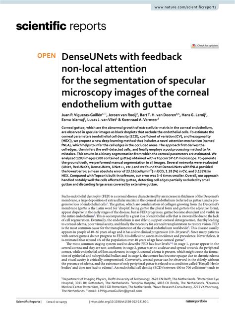 Pdf Denseunets With Feedback Non Local Attention For The Segmentation