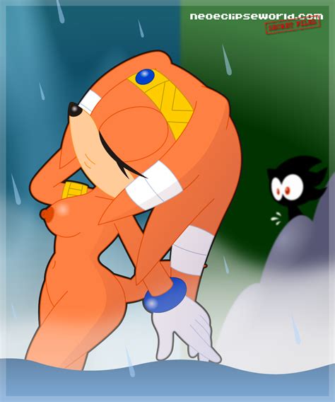 Doll Maker Shadow The Hedgehog