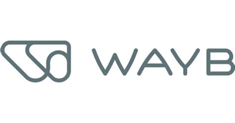 What Testing And Safety Protocols Does The Pico Follow Wayb