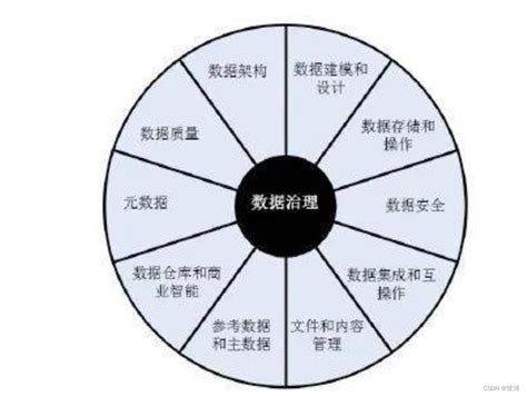 数据治理 数据管理框架 数据治理框架 csdn博客