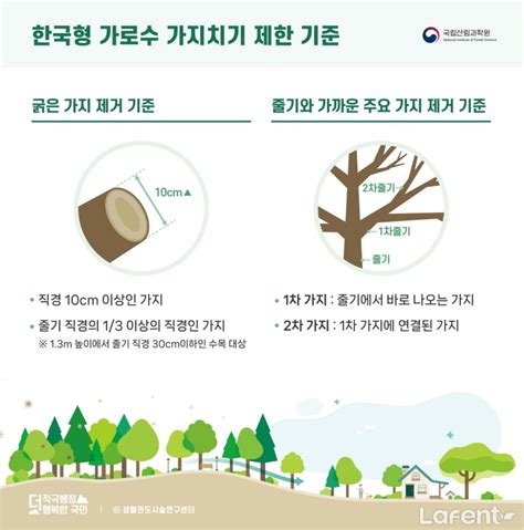 라펜트 국립산림과학원은 현장에서 쉽게 적용 가능한 한국형 가지치기 기준을 제시했다 Krlafeinewsnewsnews