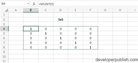 How To Use MUNIT Function In Excel Developer Publish