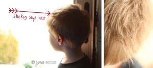 Tree Sap Stains Gwen S Nest